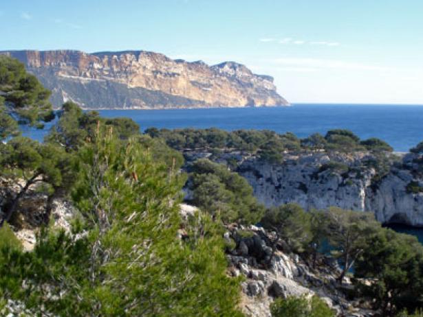 Des boues rouges dans le parc des Calanques : un scandale écologique ...